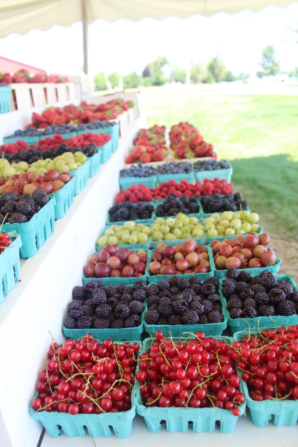 CISA – Community Involved In Sustaining Agriculture | Valley Bounty ...