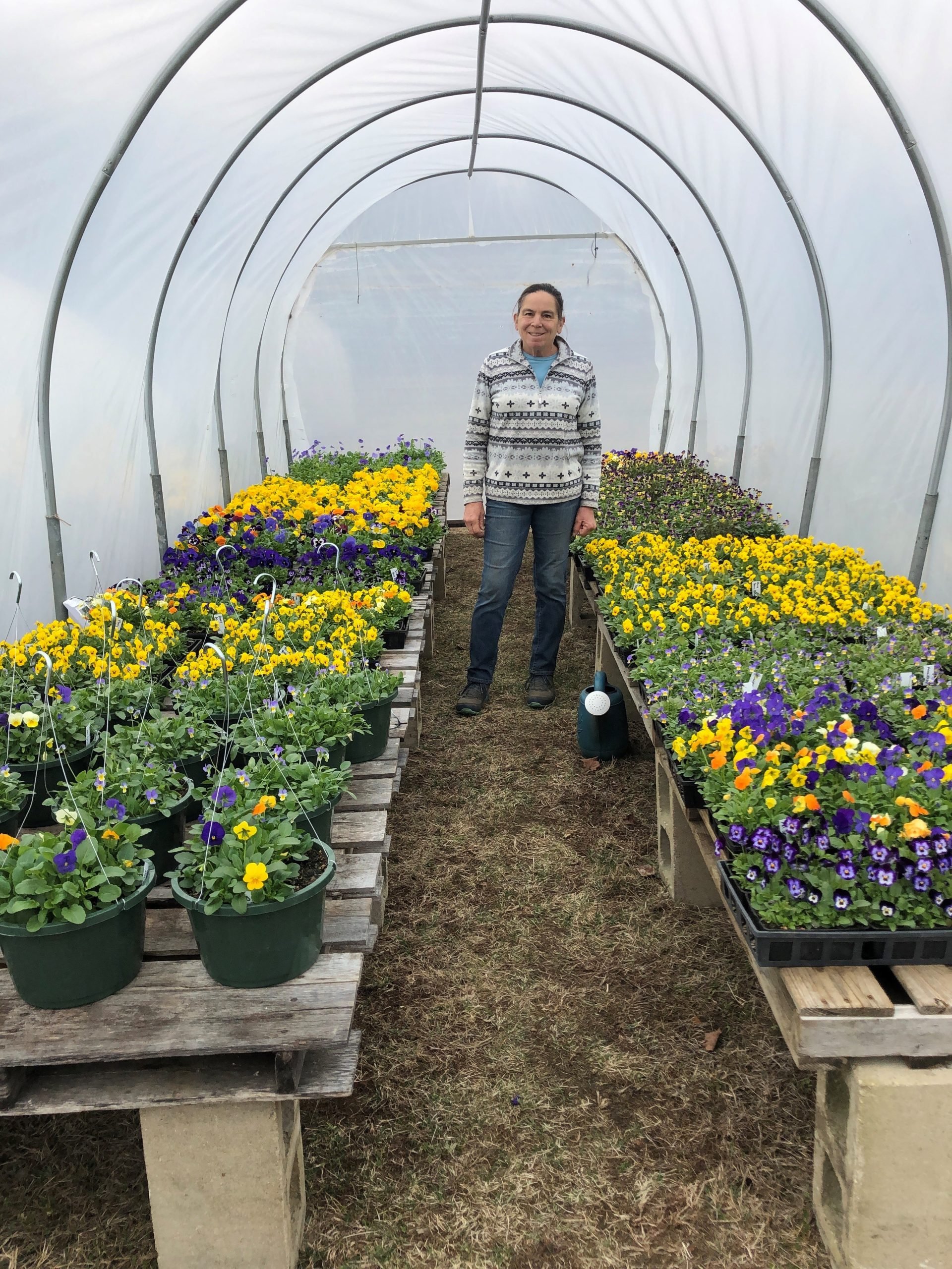 CISA – Community Involved In Sustaining Agriculture | Valley Bounty ...