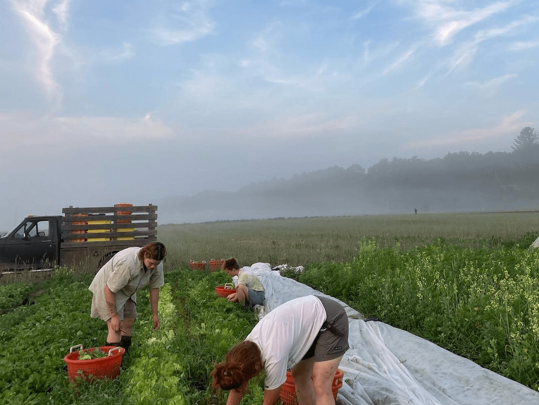 CISA – Community Involved In Sustaining Agriculture | Valley Bounty ...