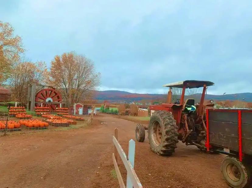 CISA – Community Involved In Sustaining Agriculture | NEPM: McCray’s ...