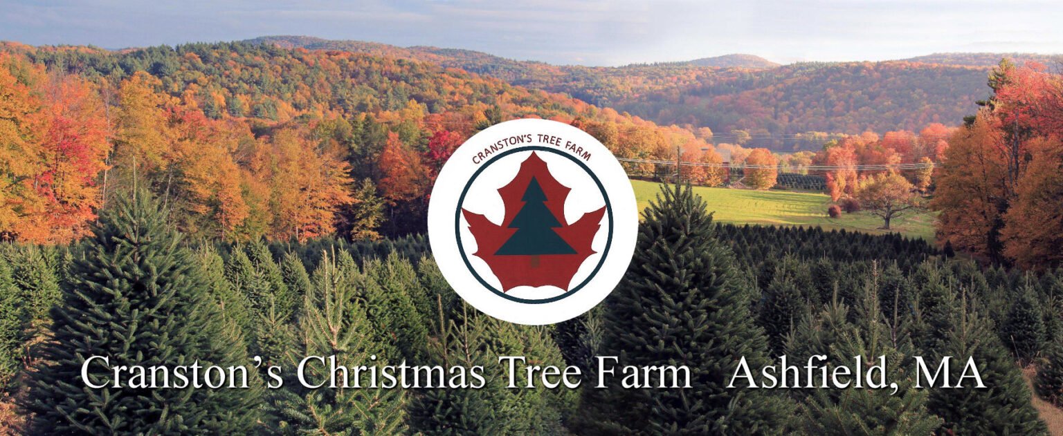 CISA – Community Involved In Sustaining Agriculture | PYO Christmas ...