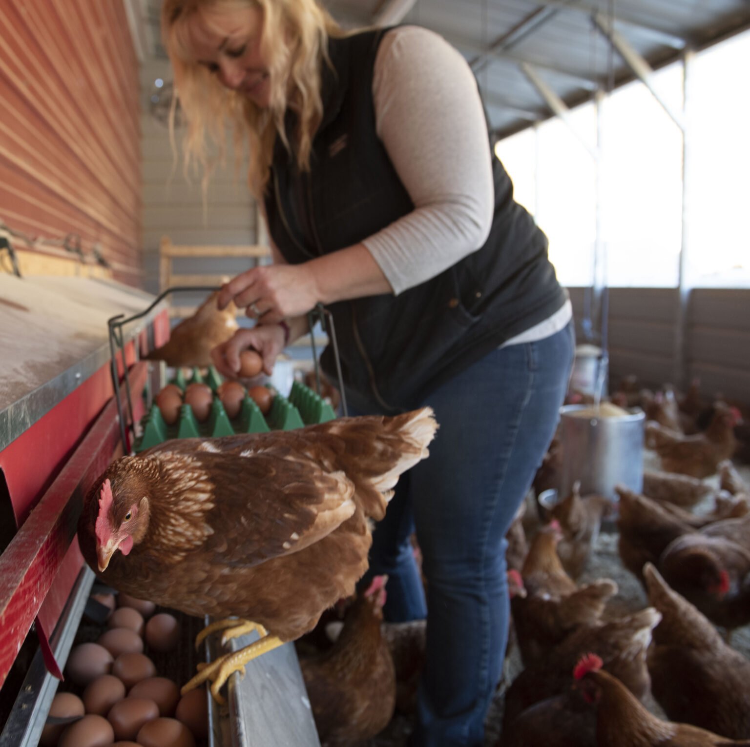 CISA – Community Involved In Sustaining Agriculture | Valley Bounty ...