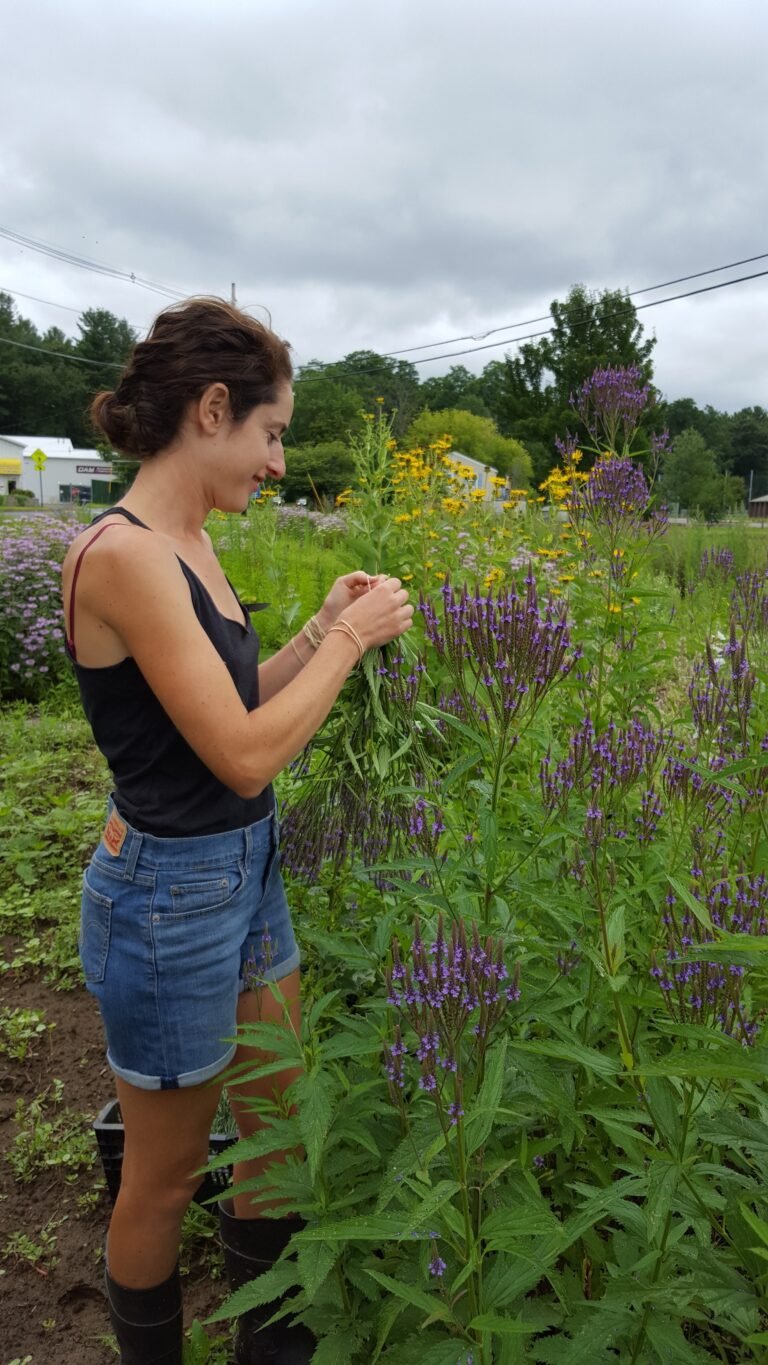 CISA – Community Involved In Sustaining Agriculture | NEPM: Sawmill ...